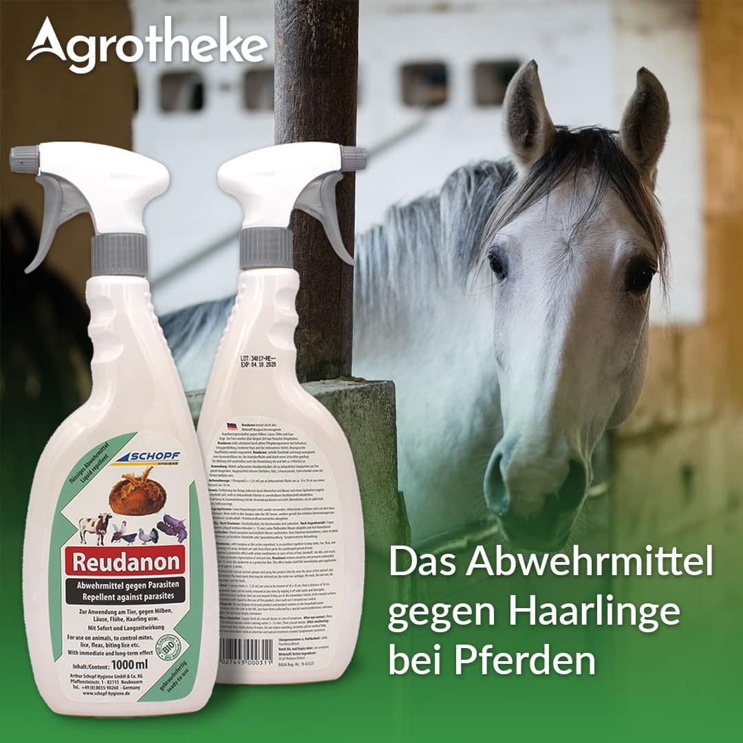 Haarlinge Pferd – Symptome Und Effektive Behandlung ️